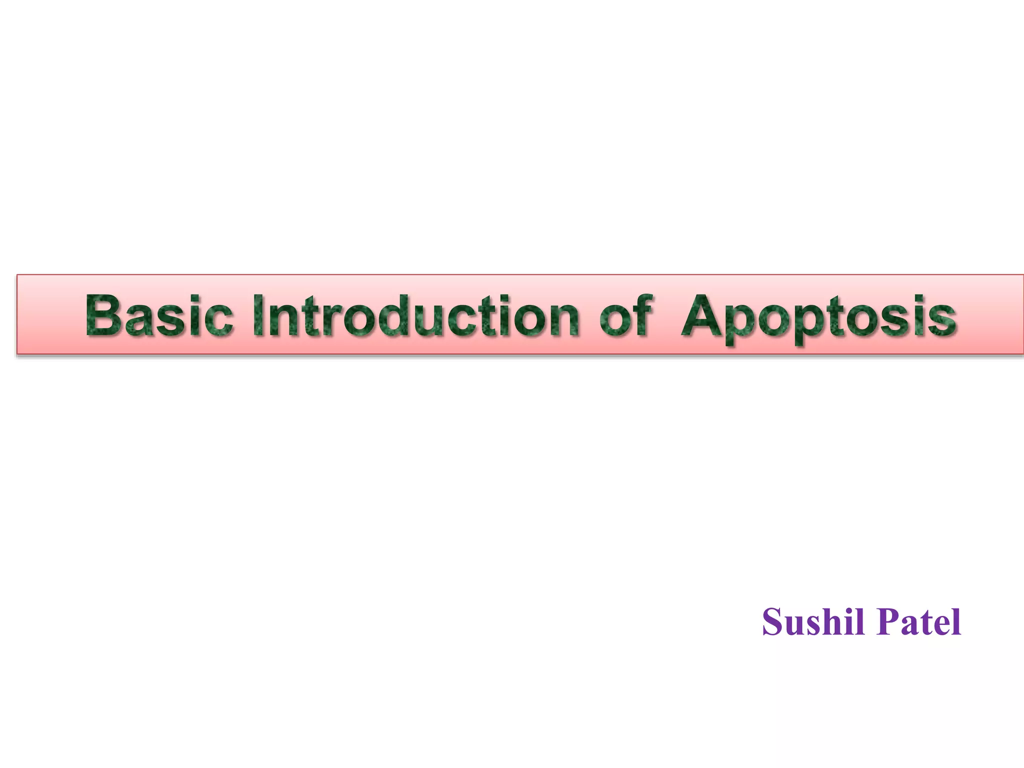 Basic Introduction of Apoptosis or Cell death | PPT
