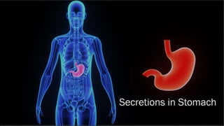 Digestive secretions | PPTX