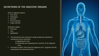 Digestive secretions | PPT