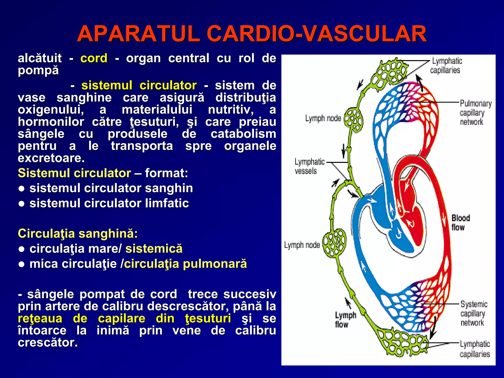 ap.cardio-vascular.pdf