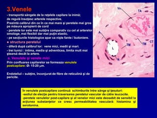 ap.cardio-vascular.pdf