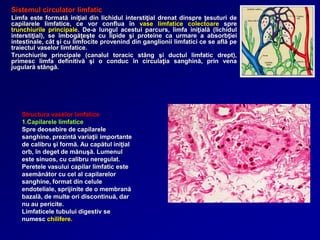 ap.cardio-vascular.pdf
