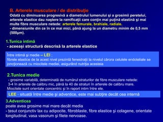 ap.cardio-vascular.pdf