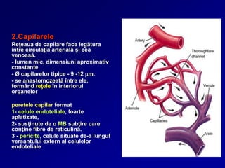 ap.cardio-vascular.pdf