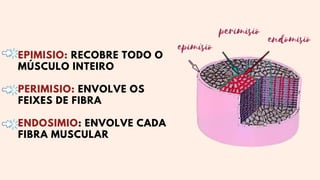 Histologia humana | PDF