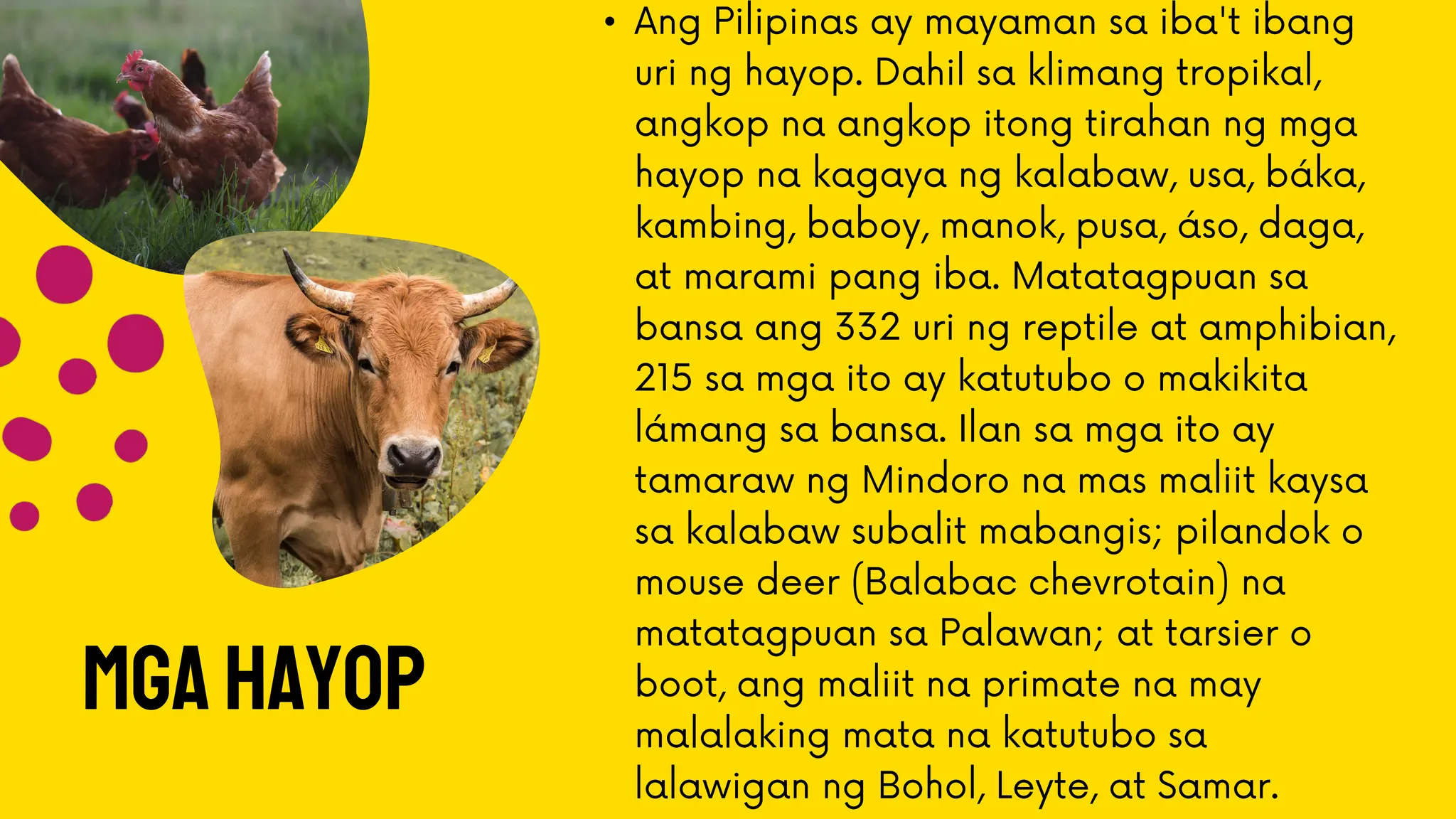 ARALING Panlipunan grade-4 WEEK-3- KLIMA4 | PDF