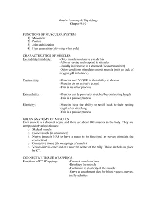 AP-9-Muscle-Anatomy-Physiology.hhihfff . | PDF