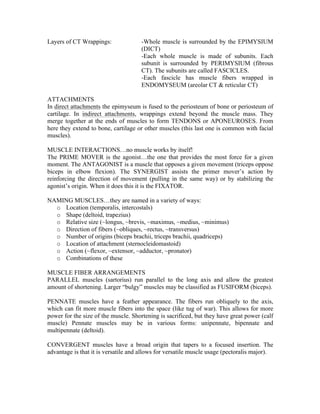 AP-9-Muscle-Anatomy-Physiology.pdfjjjhhh | PDF