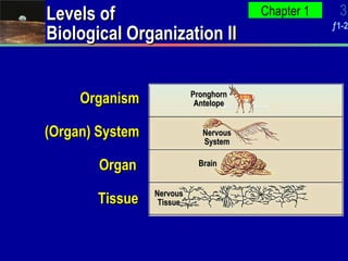 AP Bio Ch 1 PowerPoint | PPT