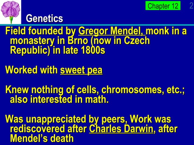 AP Bio Ch 12 Power Point | PPT | Free Download