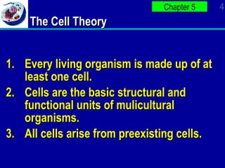 Ap Bio Ch 4 PowerPOint | PPT