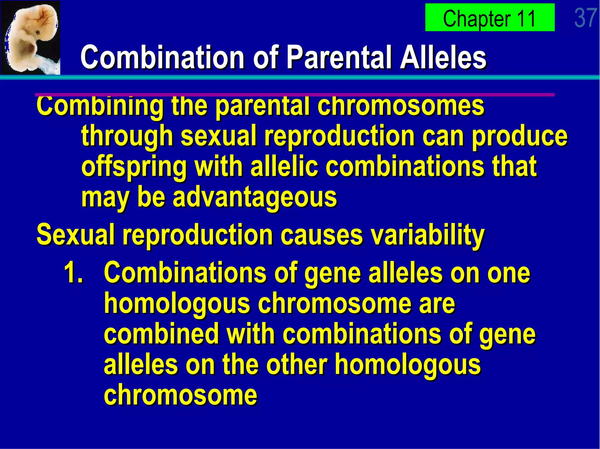 AP Bio Ch11 PowerPoint | PPT
