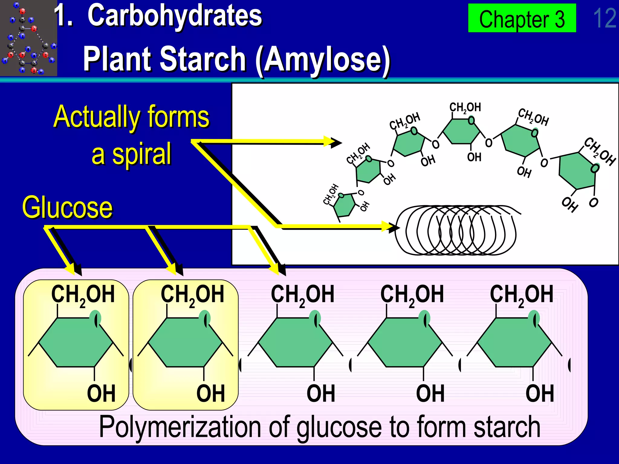 Ap Bio Ch3 PowerPoint | PPT