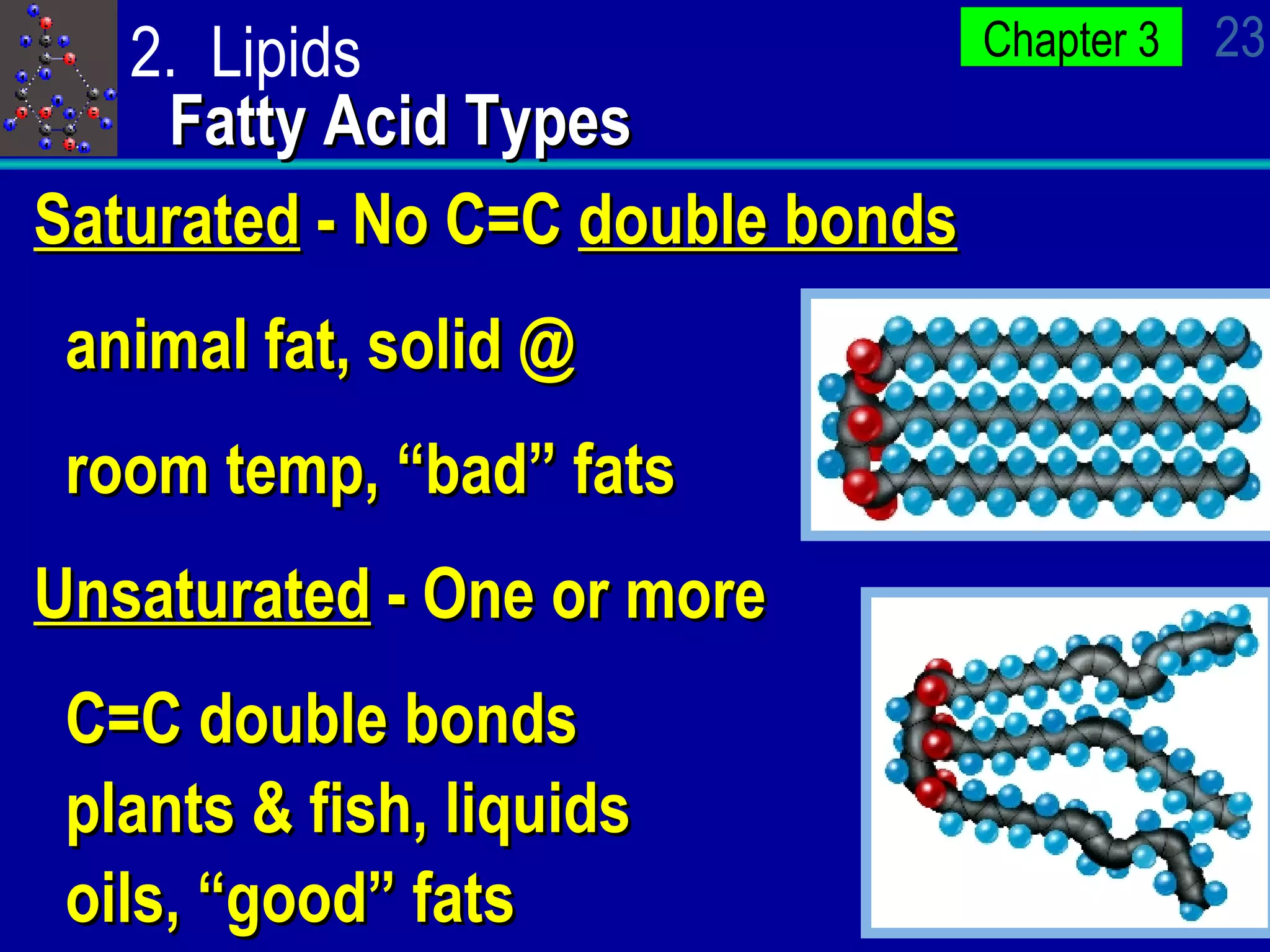 Ap Bio Ch3 PowerPoint | PPT