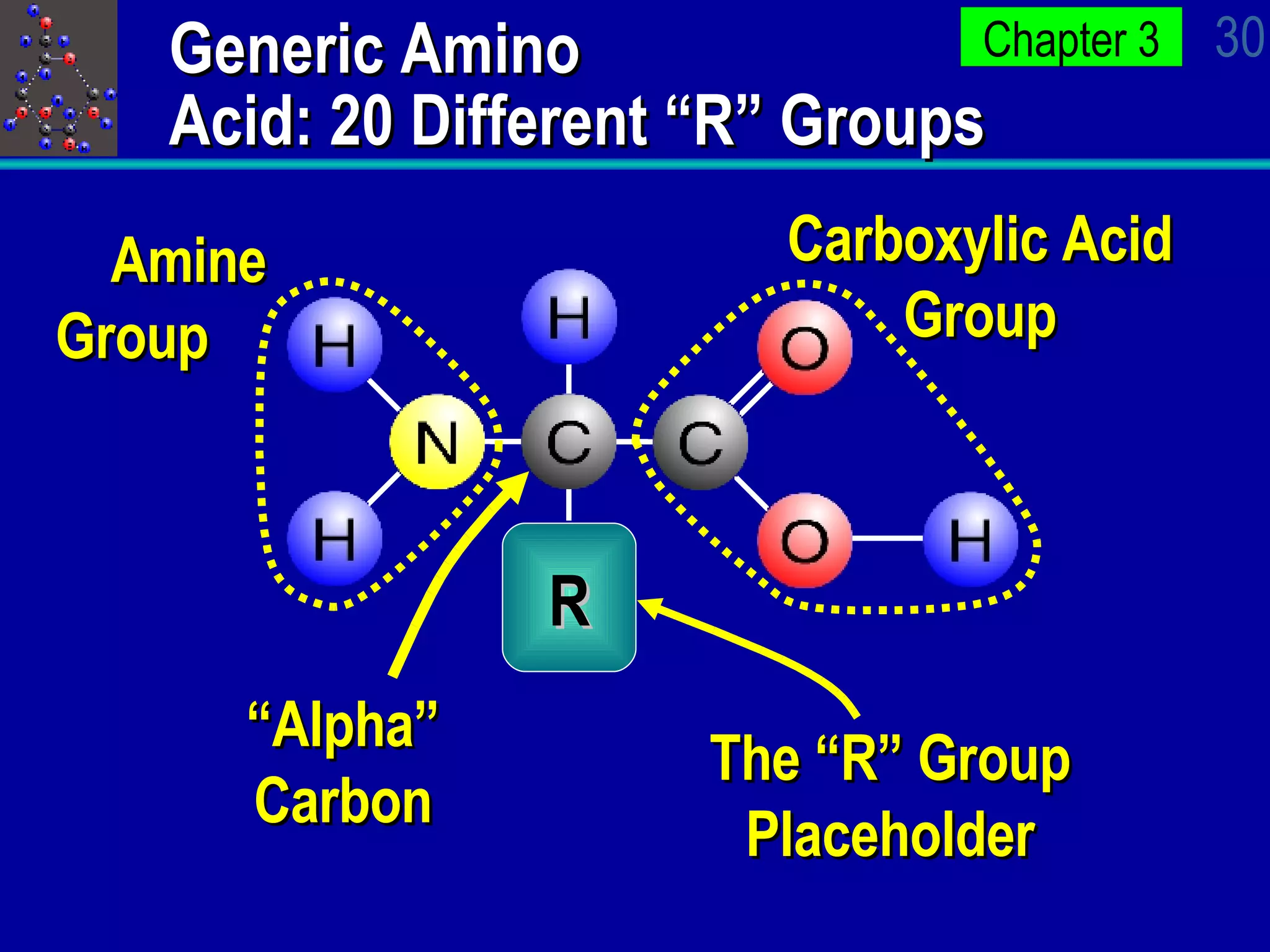 Ap Bio Ch3 PowerPoint | PPT