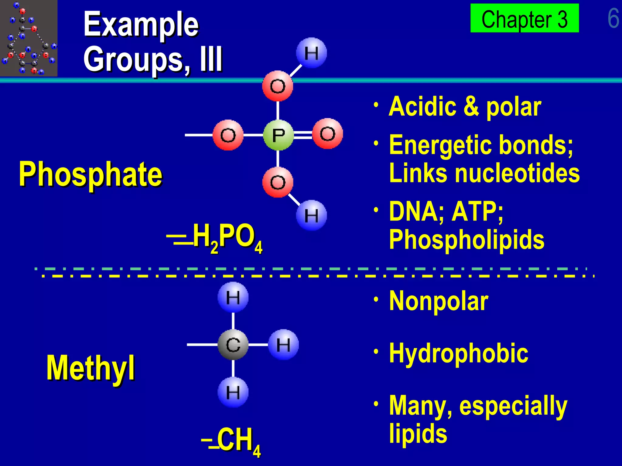 Ap Bio Ch3 PowerPoint | PPT