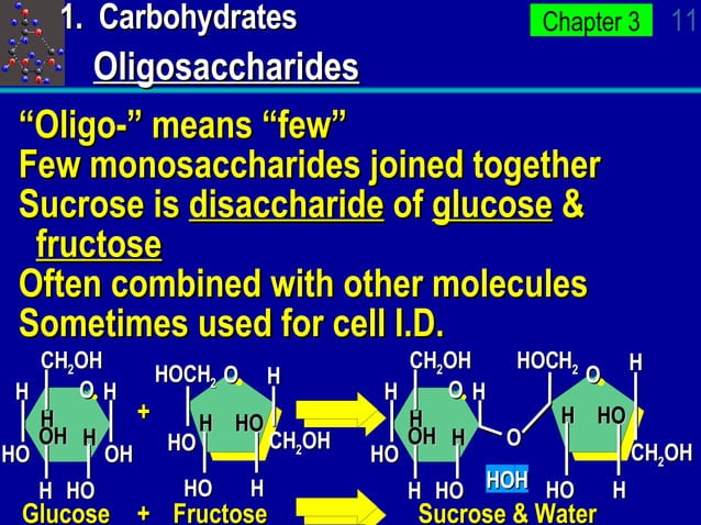 Ap Bio Ch3 PowerPoint | PPT