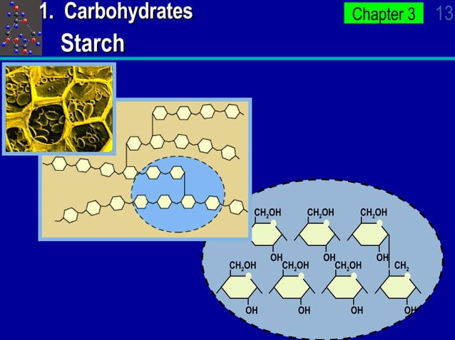 Ap Bio Ch3 PowerPoint | PPT