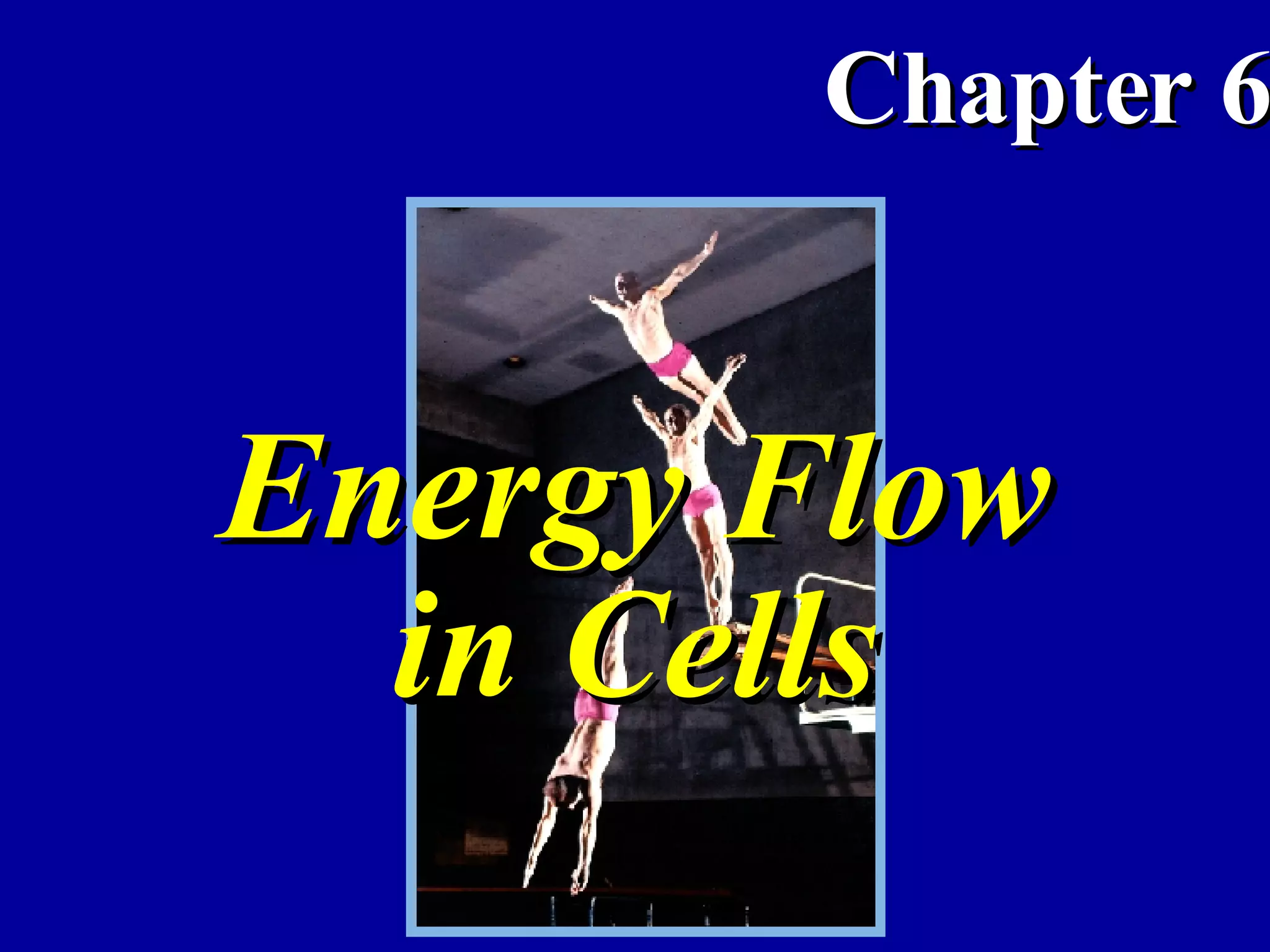 Ap Bio Ch6 PowerPoint | PPT