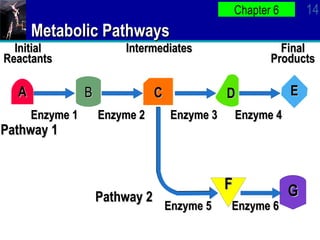Ap Bio Ch6 PowerPoint | PPT