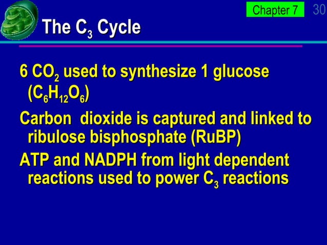 Ap Bio Ch7 Power Point | PPT | Chemistry | Science