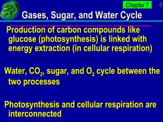 Ap Bio Ch7 Power Point | PPT