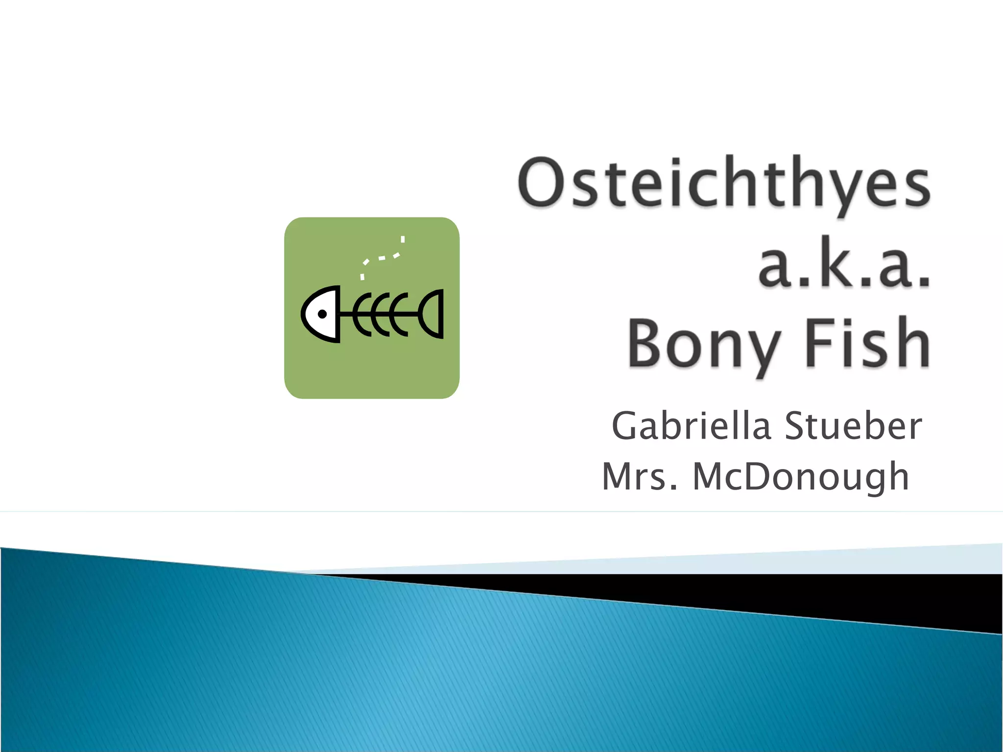 Ap Bio. Osteichthyes Class Ppt2 | PPT