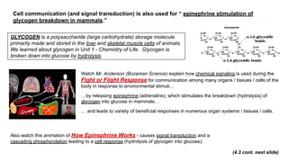 AP-Bio-Unit-4-Cell-Communication-and-Cell-Cycle.pdf