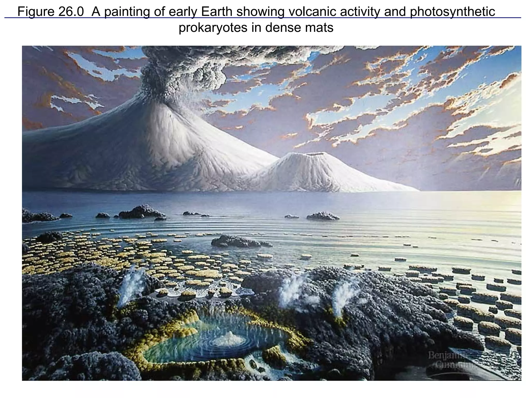Ap Chap 25 The History Of Life On Earth | PPT