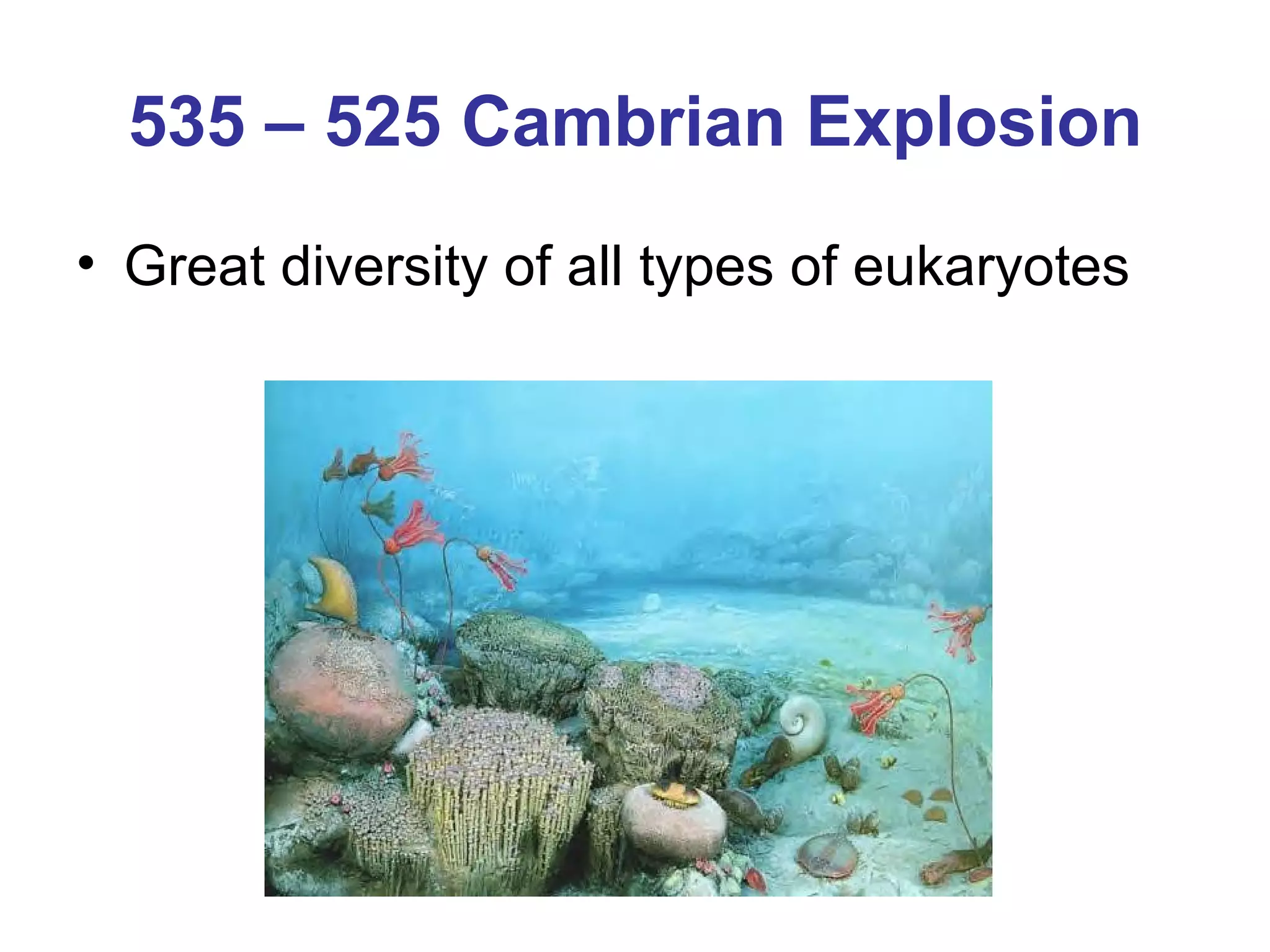 Ap Chap 25 The History Of Life On Earth | PPT
