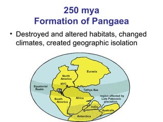Ap Chap 25 The History Of Life On Earth | PPT