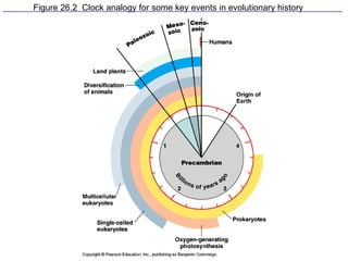 Ap Chap 25 The History Of Life On Earth | PPT