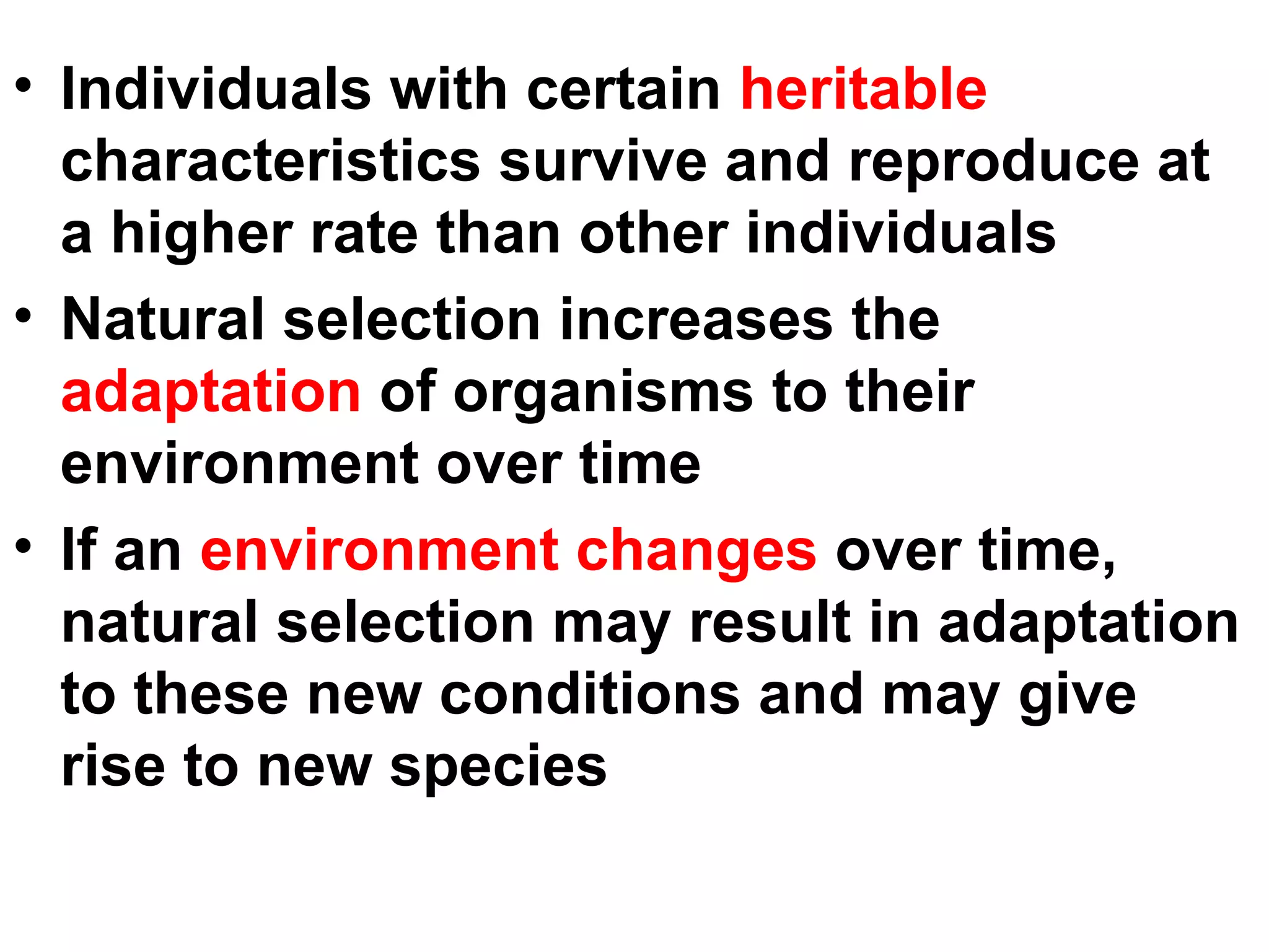 Ap Chapter 22 Mechanisms Of Evolution | PPT