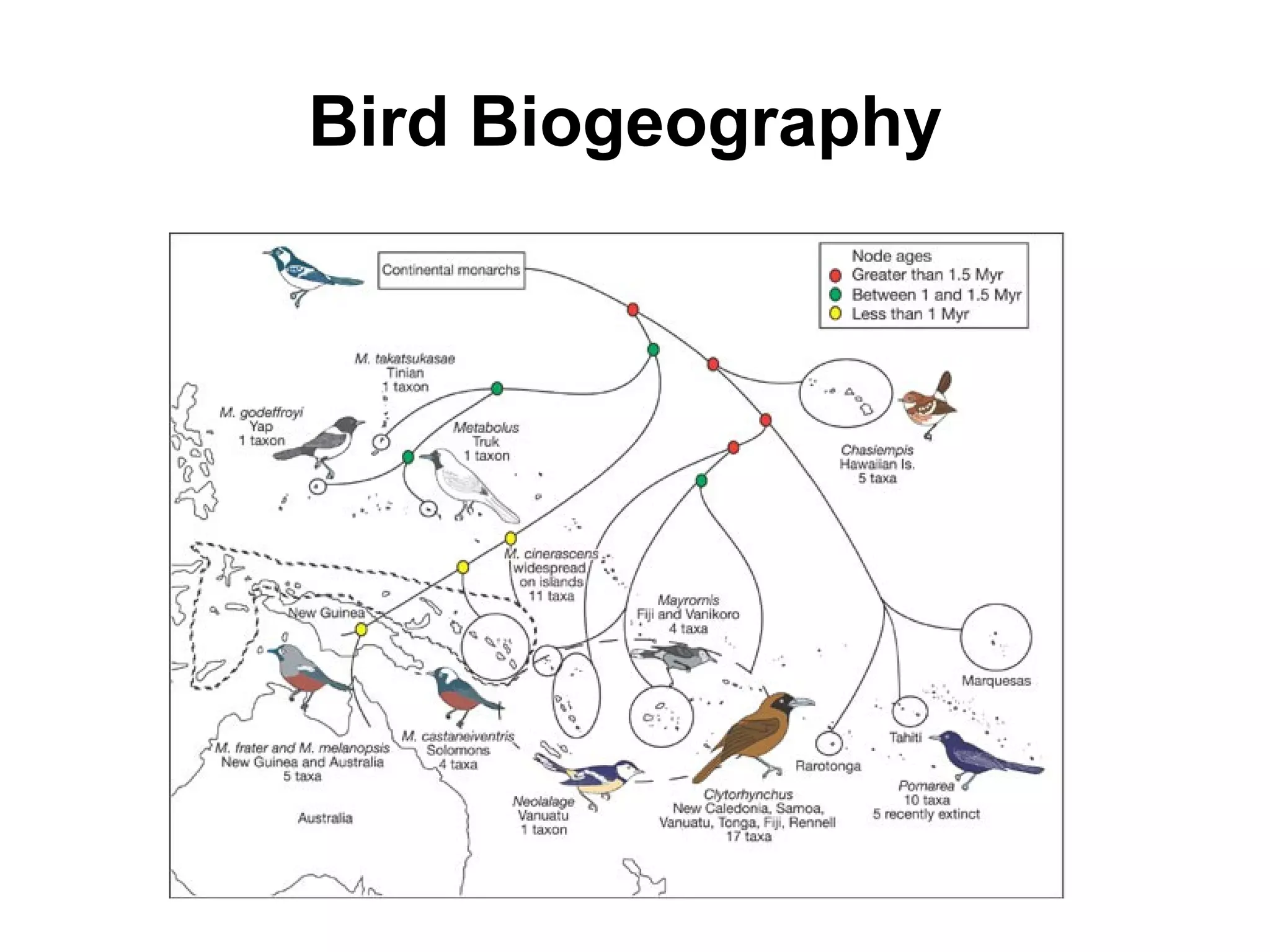 Ap Chapter 22 Mechanisms Of Evolution | PPT