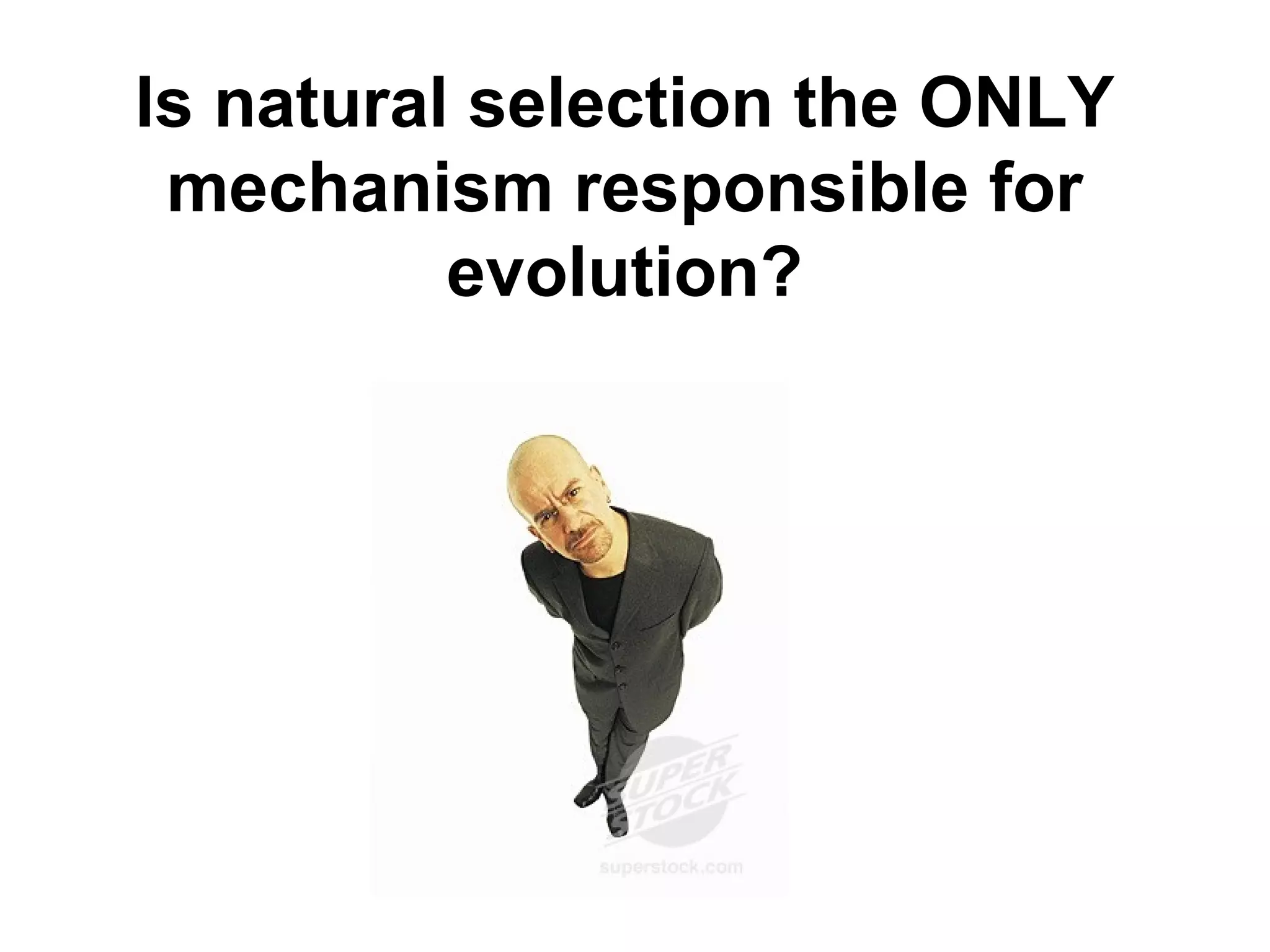 Ap Chapter 22 Mechanisms Of Evolution | PPT