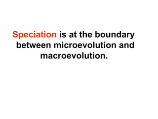 Ap Chapter 24 The Origin Of Species | PPT