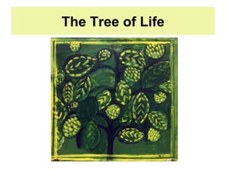 Ap Chapter 26 Evolutionary History Of Biological Diversity | PPT