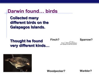 AP Biology - Charles Darwin | PPT