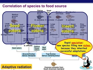 AP Biology - Charles Darwin | PPT