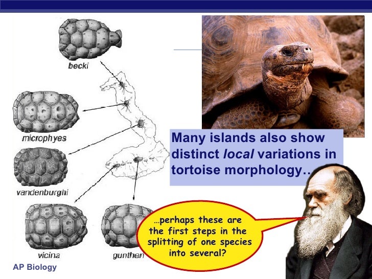 AP Biology - Charles Darwin