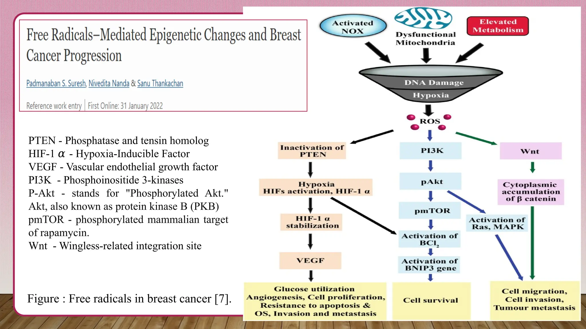 Role of free radicals in cancer/ Role of free radicals in etiopathology ...