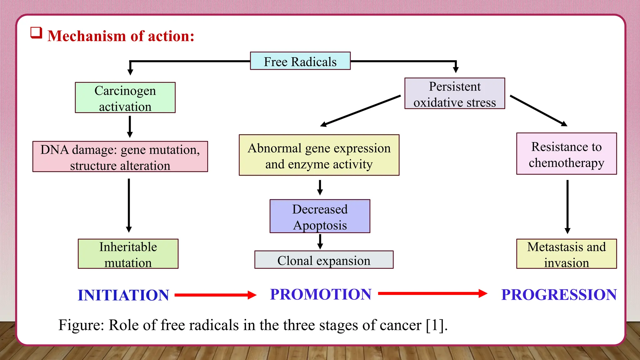 Role of free radicals in cancer/ Role of free radicals in etiopathology ...