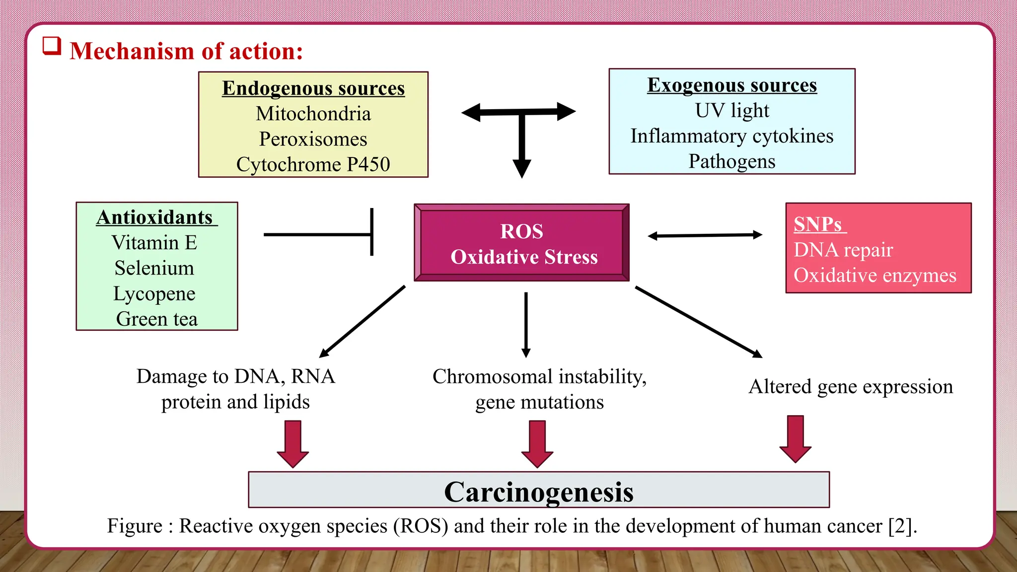 Role of free radicals in cancer/ Role of free radicals in etiopathology ...