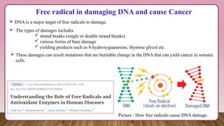 Role of free radicals in cancer/ Role of free radicals in etiopathology ...