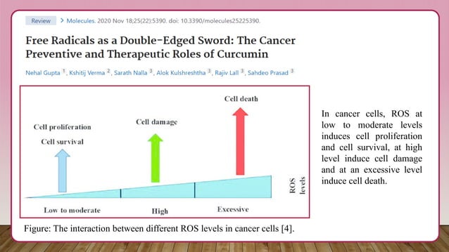 Role of free radicals in cancer/ Role of free radicals in etiopathology ...
