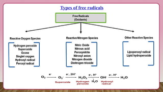 Role of free radicals in cancer/ Role of free radicals in etiopathology ...