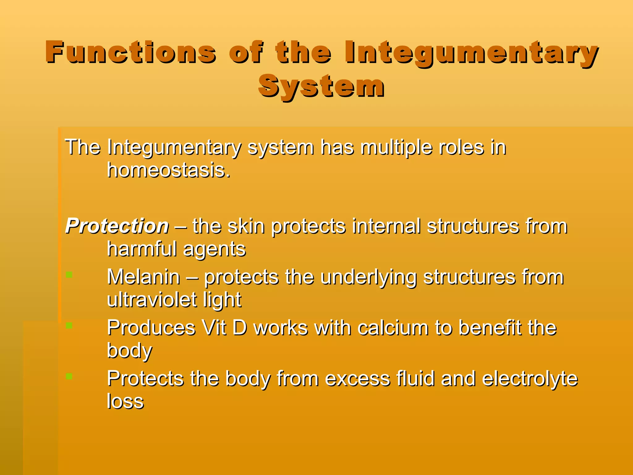 A&P Integumentary | PPT