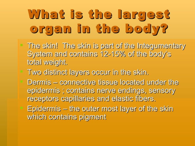 A&P Integumentary | PPT