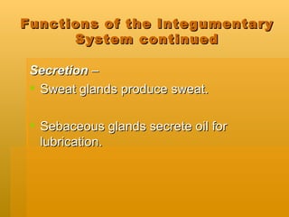 A&P Integumentary | PPT