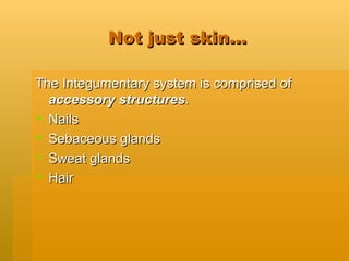 A&P Integumentary | PPT